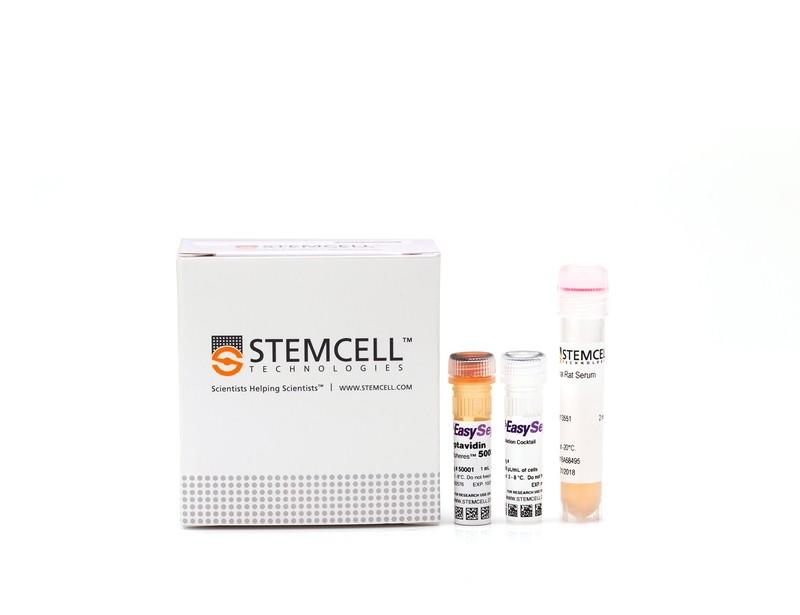 EasySep Mouse T Cell Isolation Kit | 製品情報 | ベリタス